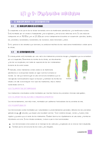 U7-y-8-Los-organulos-celulares.pdf