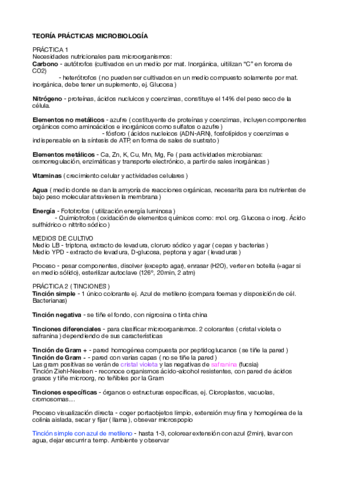 TEORIA-PRACTICAS-MICRO.pdf