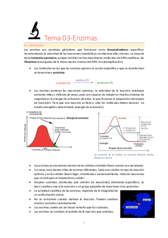 RESUMEN-ENZIMAS.pdf