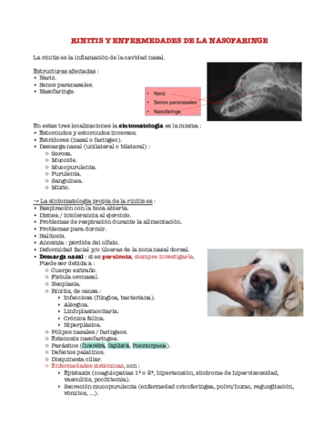 Rinitis-y-Enfermedades-de-la-nasofaringe.pdf