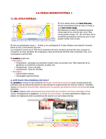 La-cerda-reproductora-1.pdf