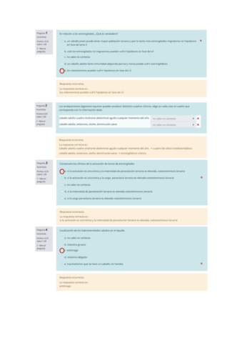 EXAMEN EQUIDOS FOTOS.pdf