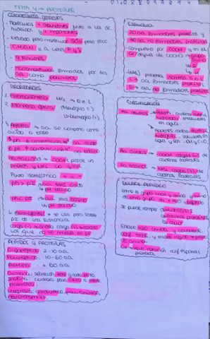 TEMA-4-PROTEINAS-RESUMEN-ESQUEMA.pdf