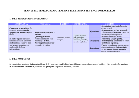 Resumen-y-tablas-micro-II-tema-3.pdf
