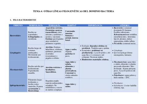 Resumen-y-tablas-micro-II-tema-4.pdf