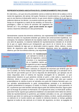 FAC_Tema_6_Contenido_del_aprendizaje_asociativo.pdf