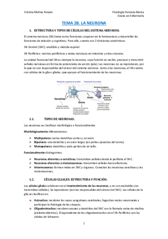 TEMA-2B.pdf