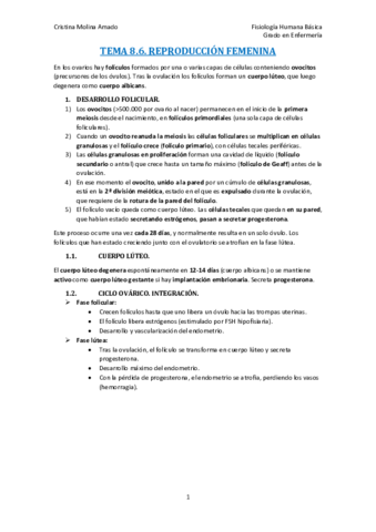 TEMA-8.pdf