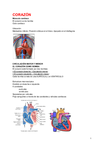CORAZON.pdf