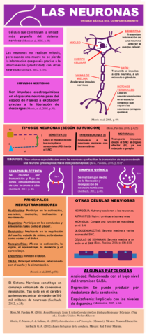 NEURONAS-INFOGRFIA.pdf