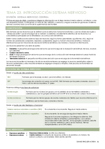 Sistema-Nervioso-T23-25.pdf