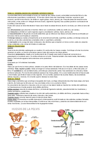 ANATOMIA-MIEMBRO-INFERIOR-RESUMEN.pdf