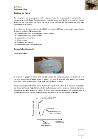 Tema2-Estatica-de-fluids.pdf
