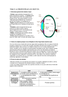 LA PERCEPCIÓN DE LOS OBJETOS.pdf