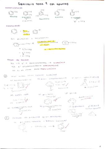 seminario-con-apuntes-tema-9.pdf