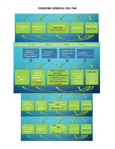 ESQUEMA-GENERAL-PAE.pdf