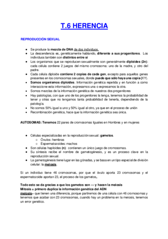 TEMA-6-Herencia.pdf