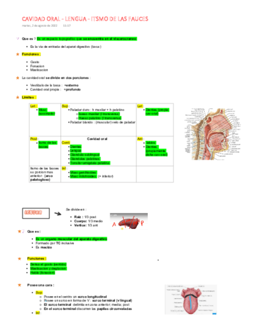 CAV-ORAL-LENGUA-ITSMO-DE-LAS-FAUCES.pdf