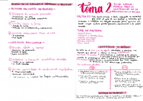 Esquema-tema 2