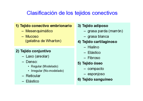 teixit-connectiu-ossi.pdf