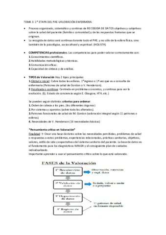 valoracion-enfermera-PAE.pdf