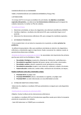 TEMA-6-PLANIFICACION-DE-LOS-CUIDADOS.pdf