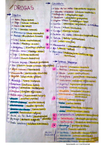 todas-las-drogas-de-las-tablas-fito.pdf