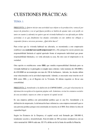 Cuestiones-Practicas-sobre-los-temas.pdf