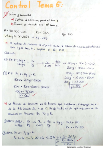 Control-Tema-5-Micro-I.pdf