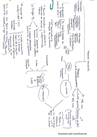Tema-5-DPP-Esquema-.pdf