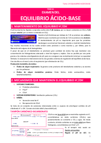 Tema-14-Examen-del-Equilibrio-Acido-Base.pdf