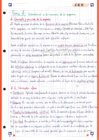 IEE-Tema-1.pdf