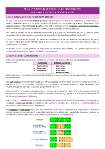 TEMA-4-MUTACIONES.pdf