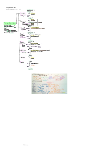 Esquema-CAC.pdf