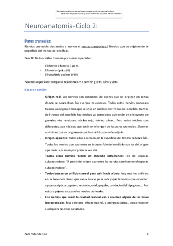 Neuroanatomia-Ciclo-2.pdf