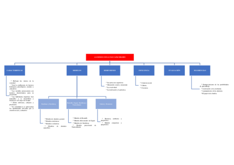 MAPA-CONCEPTUAL-CAP.pdf