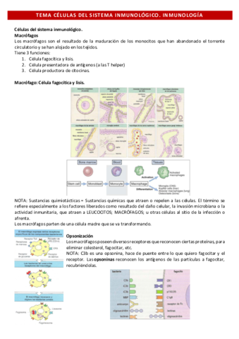 Tema-Celulas-del-sistema-inmunologico.pdf