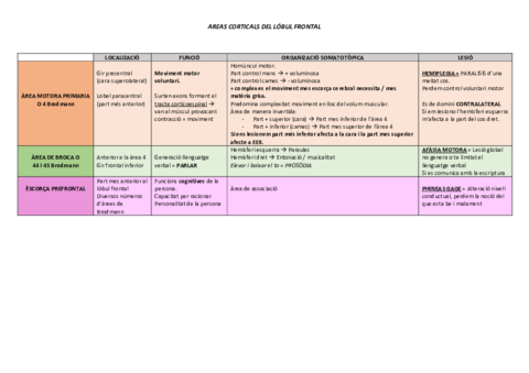AREA-CORTICAL-LOBUL-FRONTAL.pdf