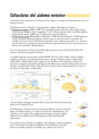 01-Celulas-del-sistema-nervioso.pdf