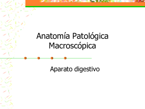 NECRO-UT11-03-Digestivo-B.pdf