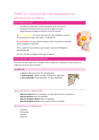 Anatomia-12.pdf