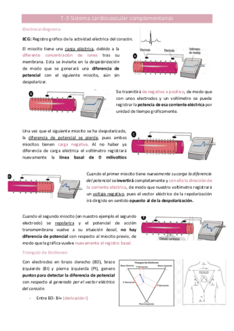 T3-sistema-cardiovascular-complementarias.pdf