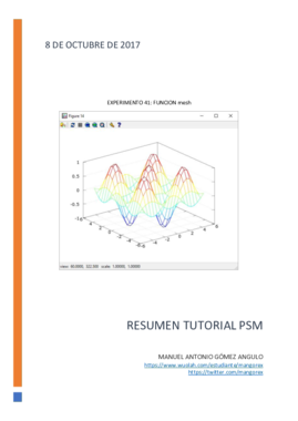 Documento tutorial PSM.pdf
