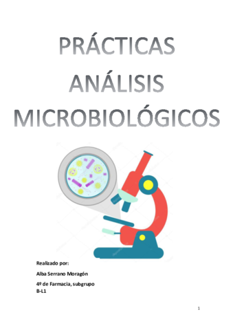 MEMORIA-PRACTICAS-MICRO.pdf