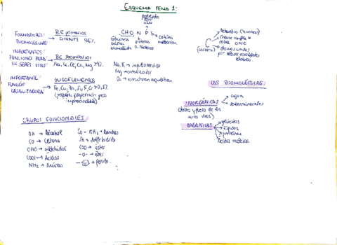 Esquema-Tema-2-biologia.pdf