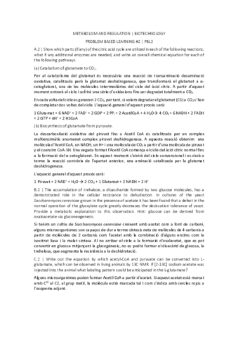 PBL2.pdf