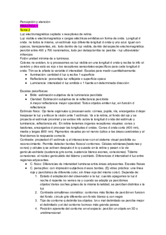 Percepcion-1.pdf