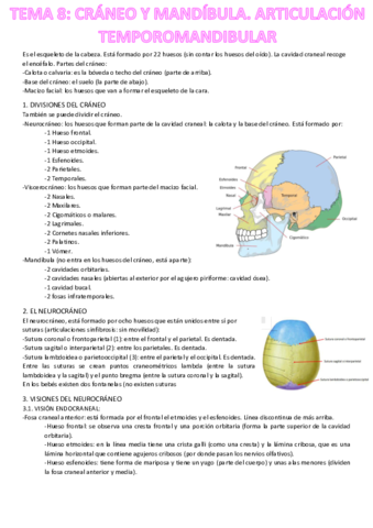 tema-8-anatomia.pdf