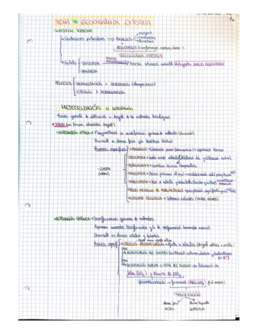TEMA-4-GEODINAMICA-EXTERNA.pdf