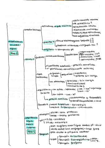 esquemas-temas-BQH.pdf